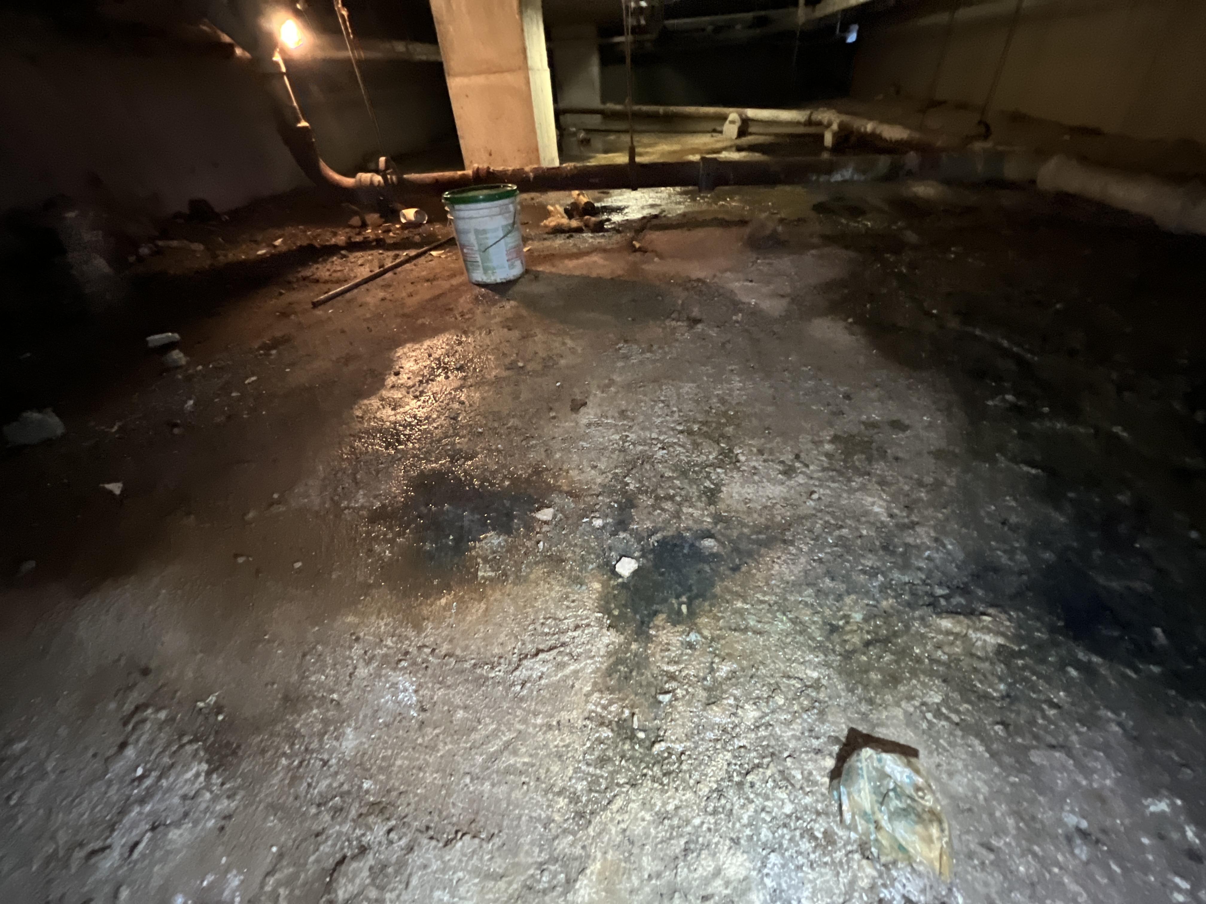 Job completed for David L. - Sparta NJ - Water Damage Sparta , NJ